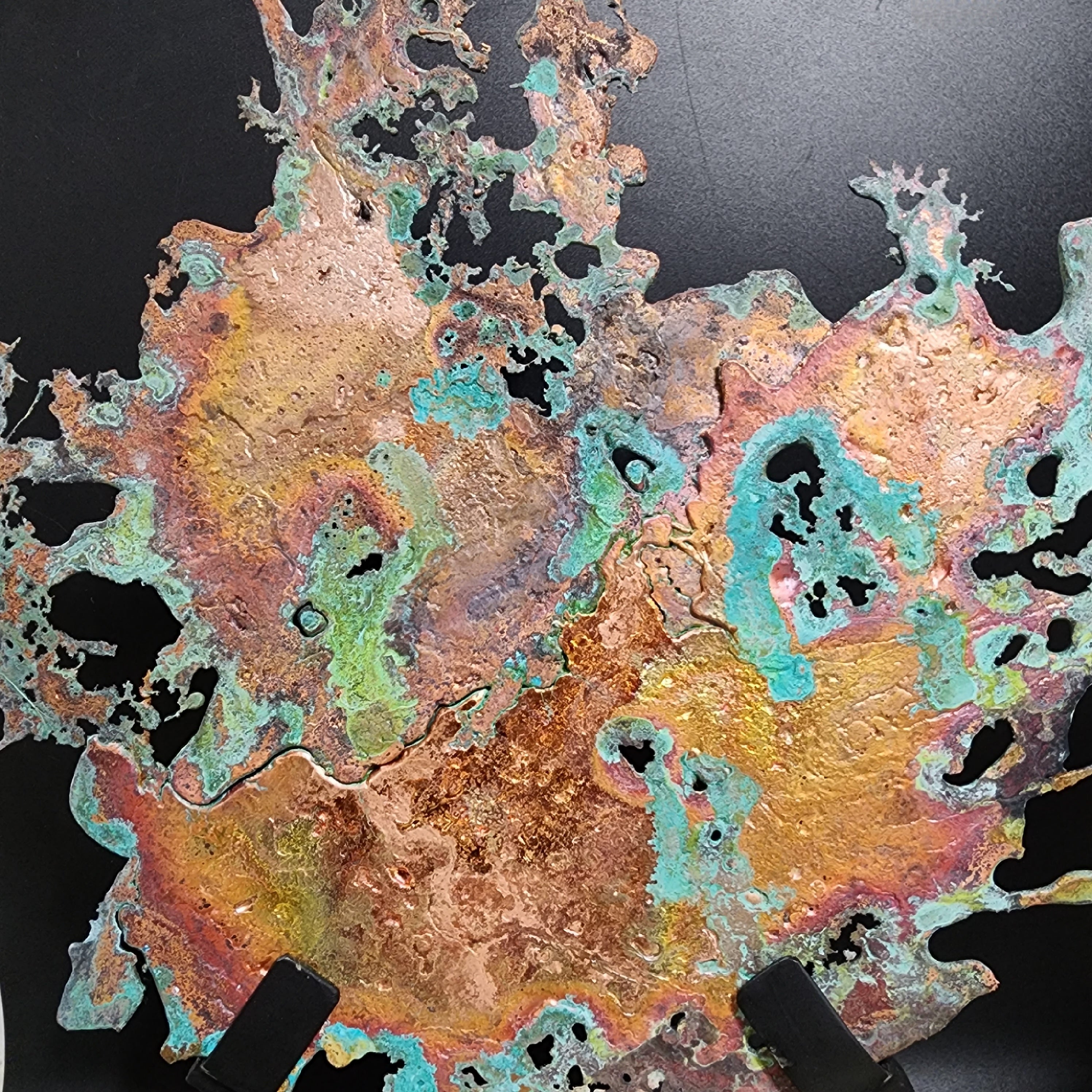 Red Stone Fossils